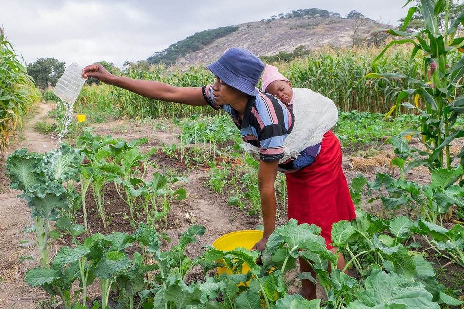 Improving the livelihoods of the poor to build climate resilience